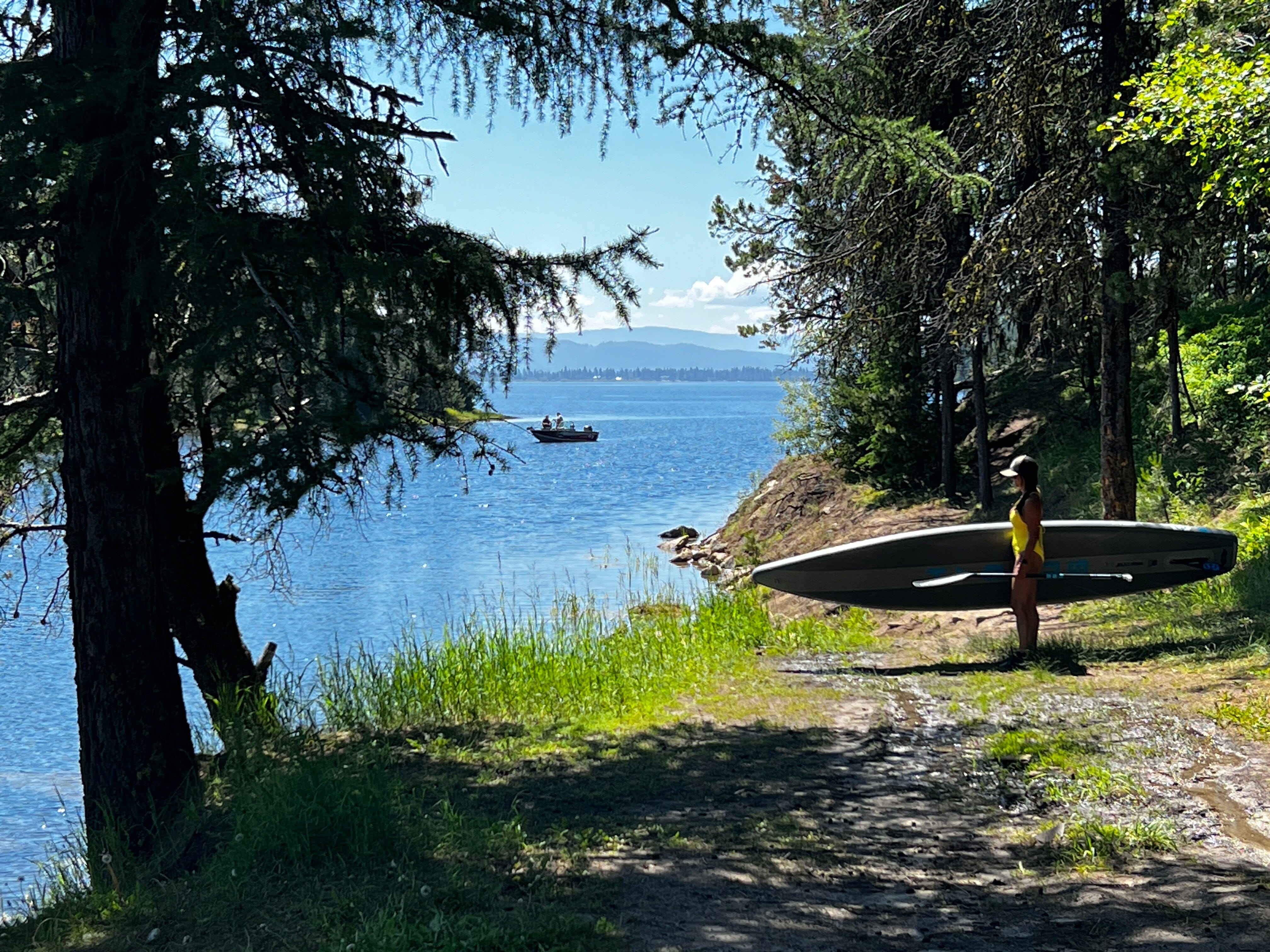 The Hydrus Pricing Strategy: Quality, Efficiency, and Community